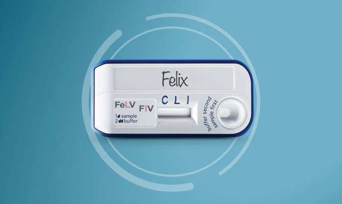 Diagnostic Rapid Tests | Zoetis